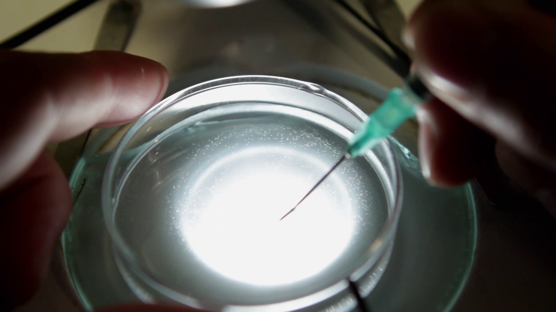 Premio InnovaT – 25 años: proyectos ganadores – Innovat